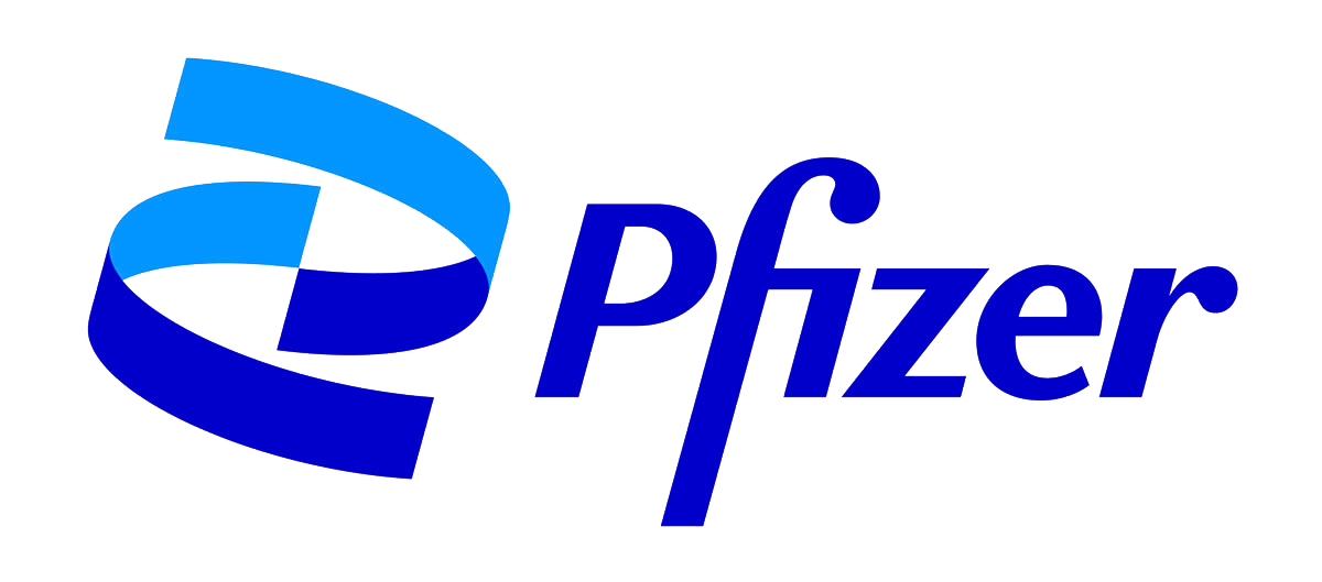 Biography of Paul Prins - Paul.Build